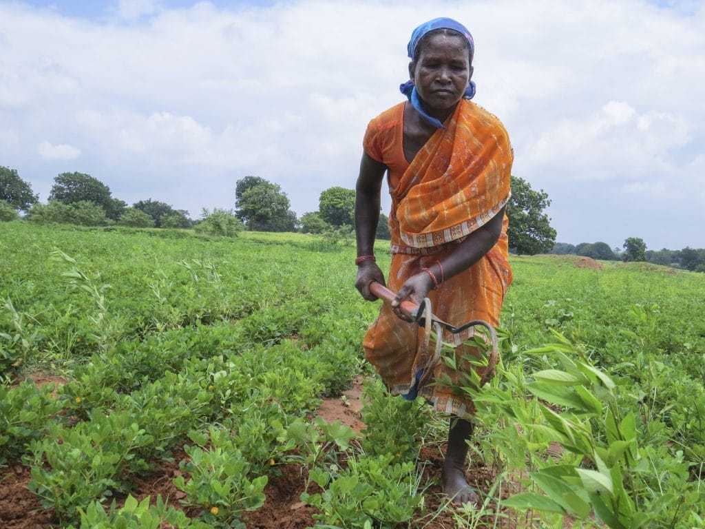 Improved Agricultural Practices Helped Put an End to Migration - CARE ...