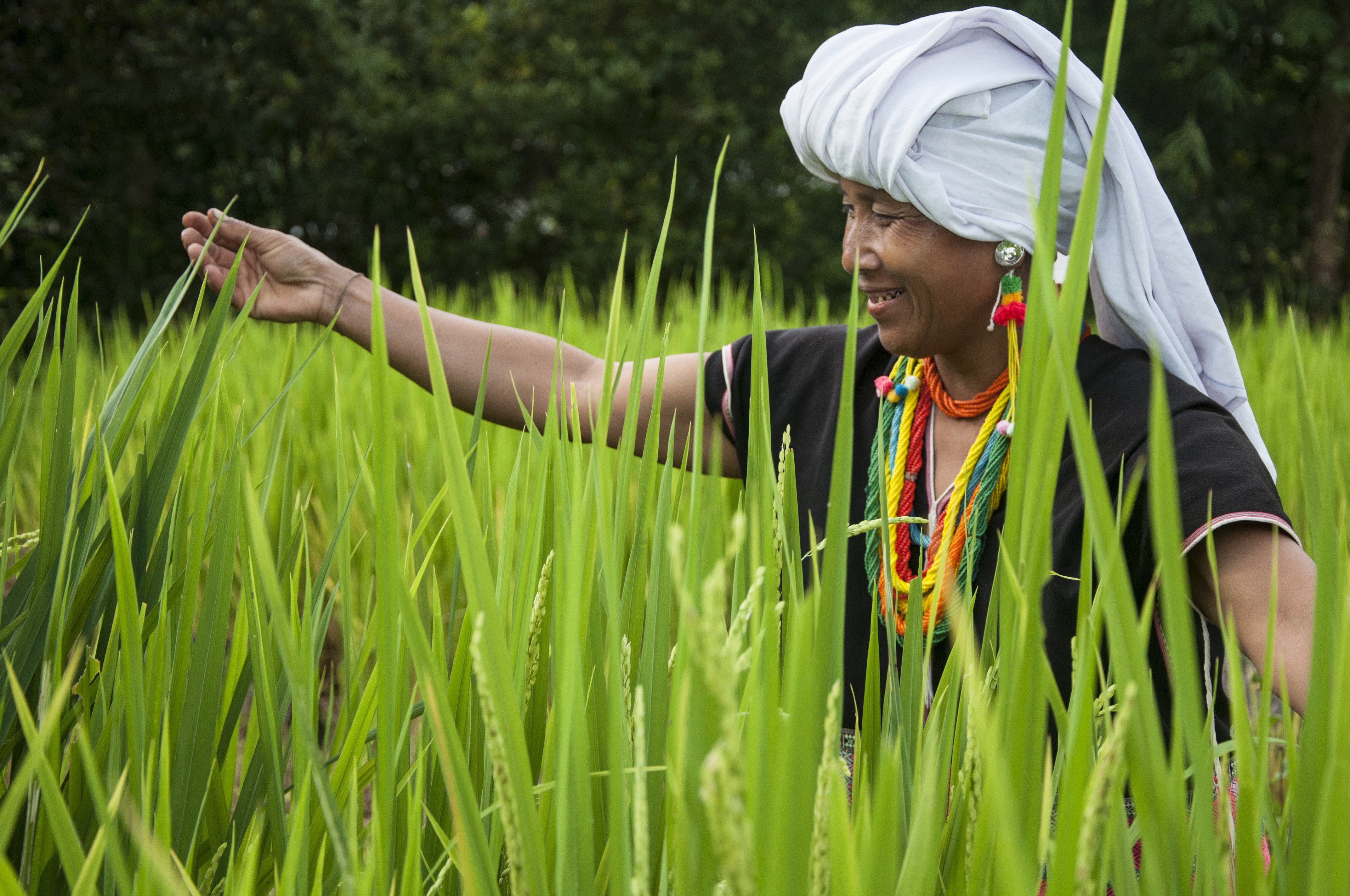 Locally Led Adaptation & Resilience - CARE Climate Change