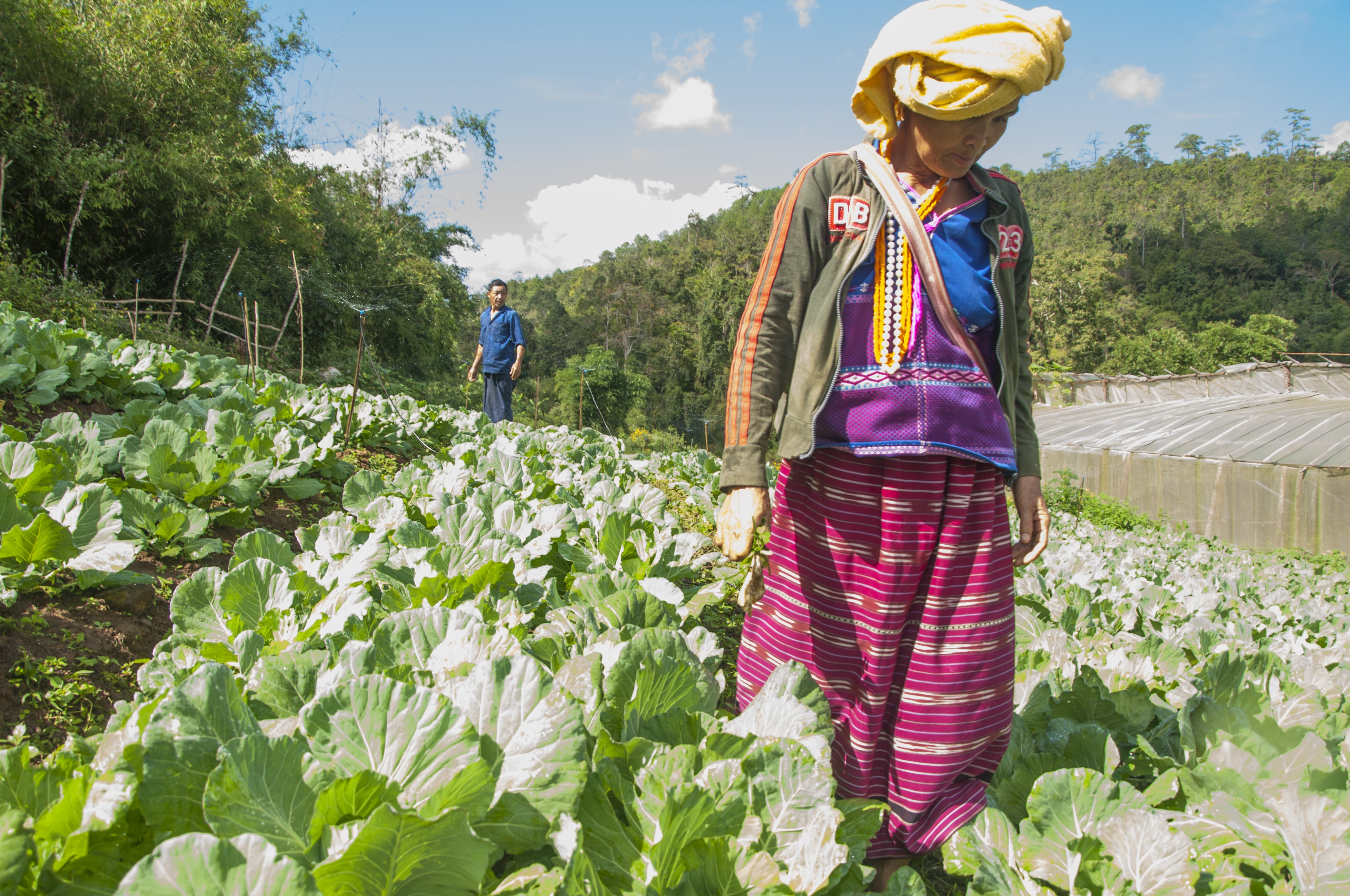 Climate Vulnerability and Capacity Analysis: South of Thailand - CARE ...