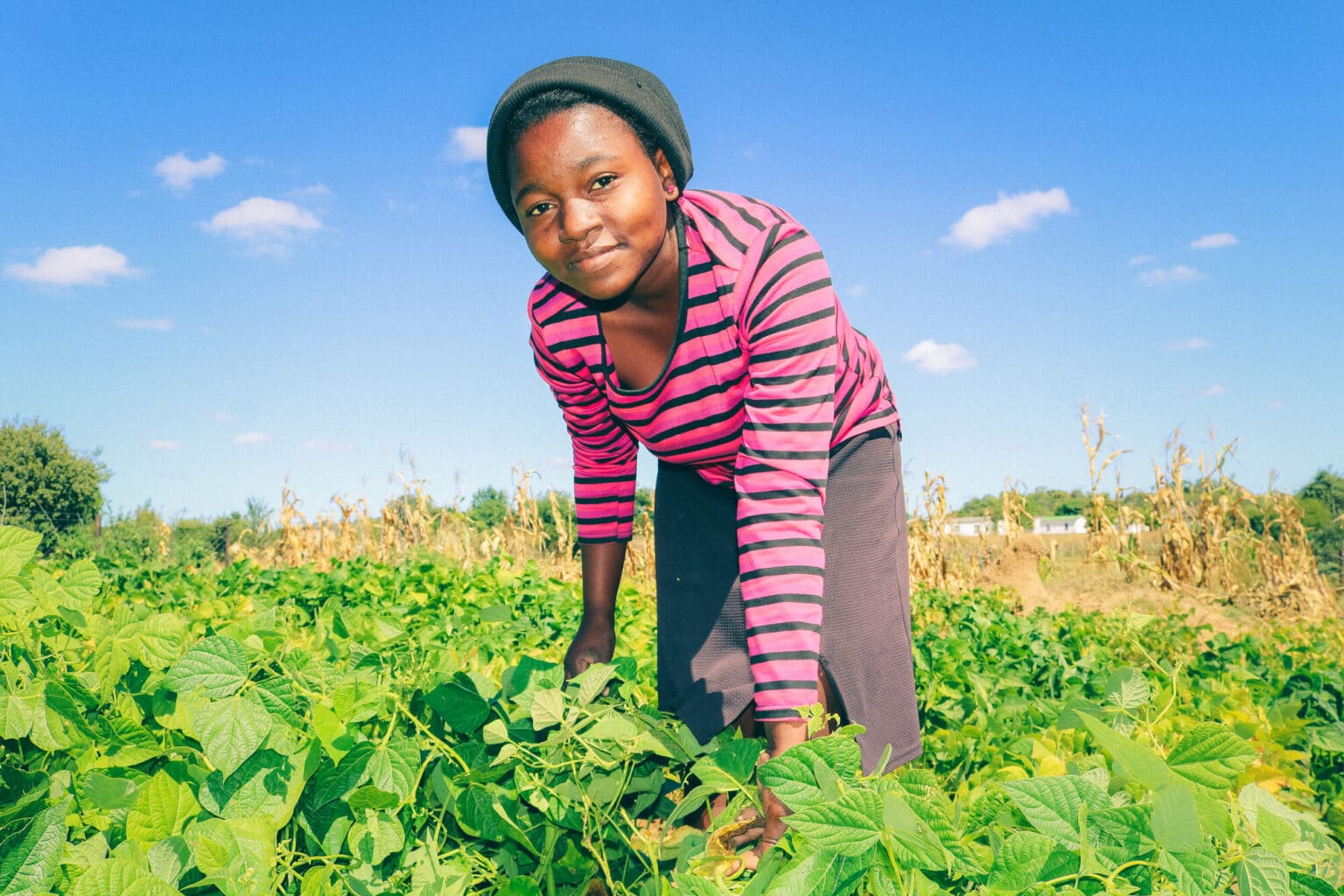 Climate-Resilient Livelihoods Archives - CARE Climate Change