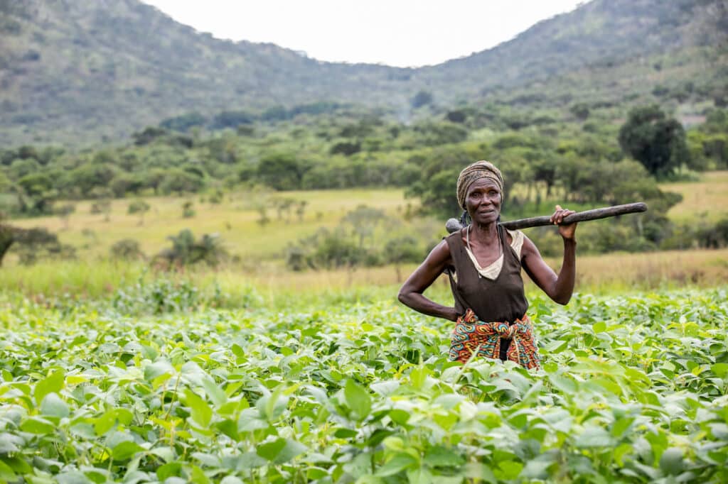Only one in five countries meaningfully integrates gender in latest ...